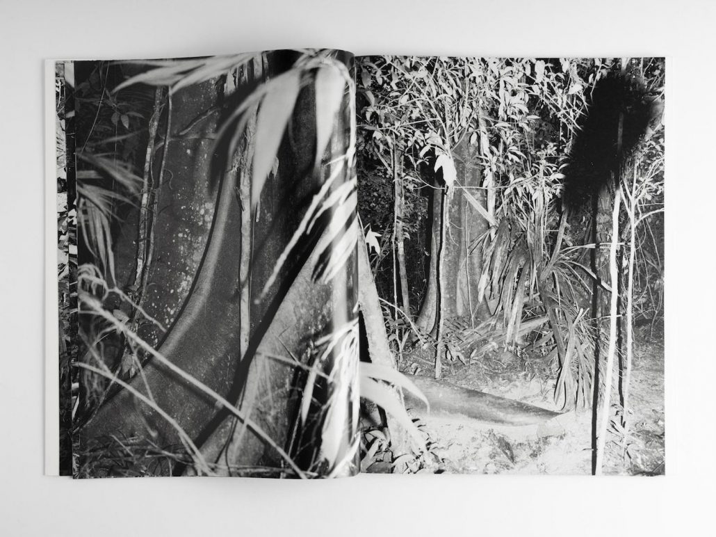 Aleix Plademunt - Iberia · c4 journal
