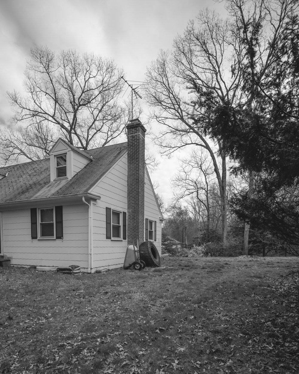 The Archive of Bernard Taylor · c4 journal