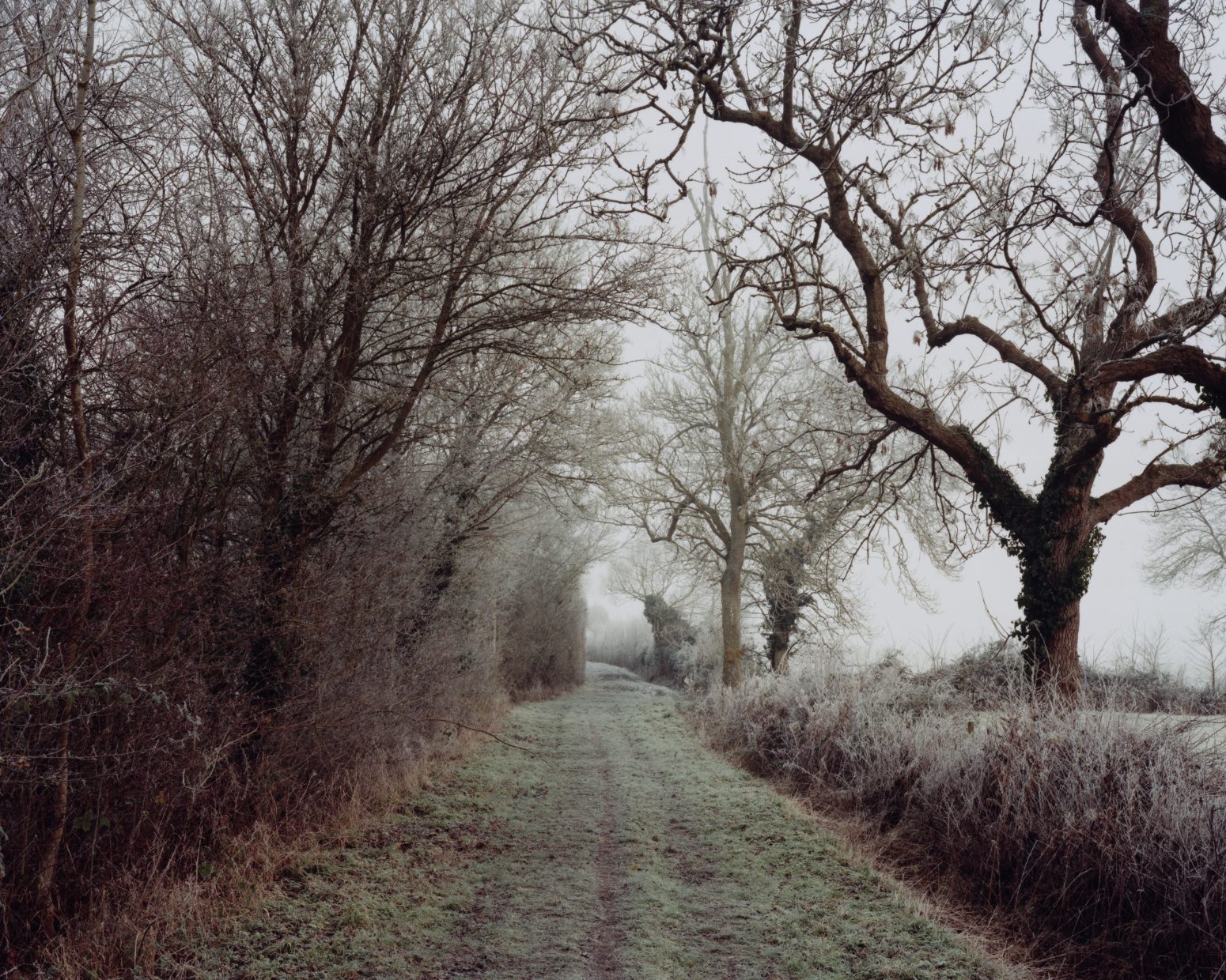 John Spinks - Harrowdown Hill · c4 journal